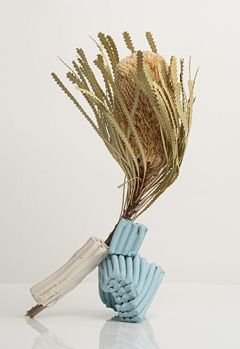 Visual gaze – JUJU ESTUDIO